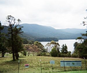 Selover's Lookout, Healesville | Enjoy Victoria