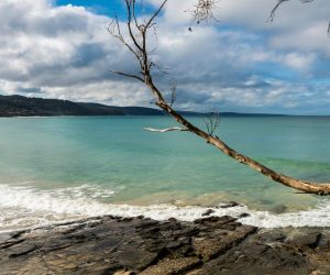 29 Best Beaches in Victoria | Enjoy Victoria