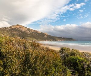 29 Best Beaches in Victoria | Enjoy Victoria