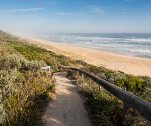 29 Best Beaches in Victoria | Enjoy Victoria