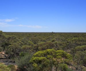 13 Things to do at Swan Hill | Enjoy Victoria