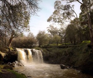 13 Best Waterfalls in Gippsland | Enjoy Victoria